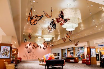 Attractions and Activities - West Acres Mall